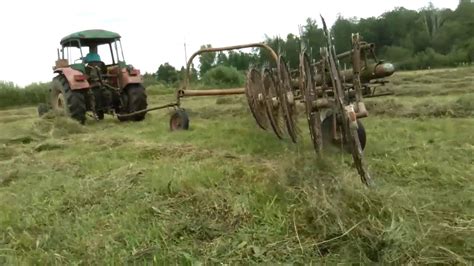 Zgrabianie Siana Ursus C 360 YouTube