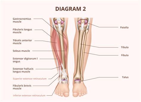 Why Shin Splints Occur And How To Heal Them Healthnews