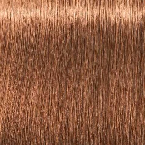 IGORA EXPERT MOUSSE 7 65 Flap