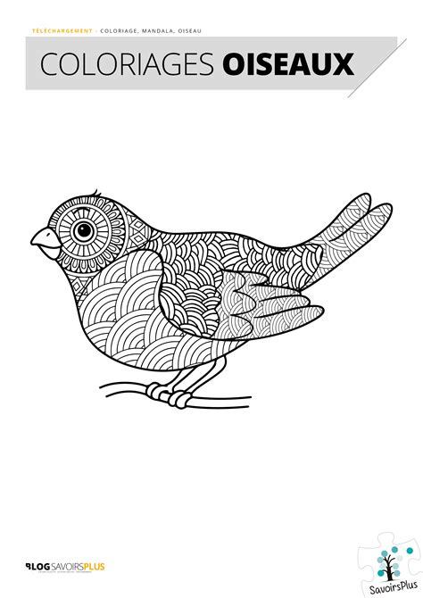 Téléchargement Coloriages mandalas oiseaux Le blog SavoirsPlus