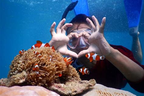 Paket Tour Karimunjawa Hotel Mirabelle H M Kapal Feri Siginjai Pp