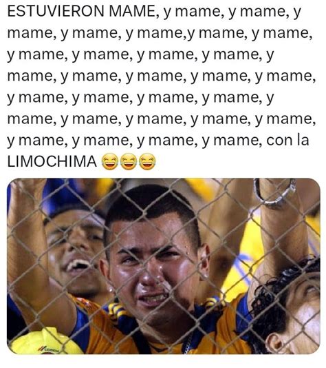 Chistes Tigres On Twitter Rt Eltigre Y Estuviste Mame Y Mame Y