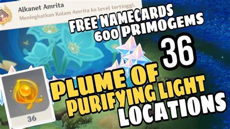 All Plume Of Purifying Light Locations Amrita S Heart Quest Genshin