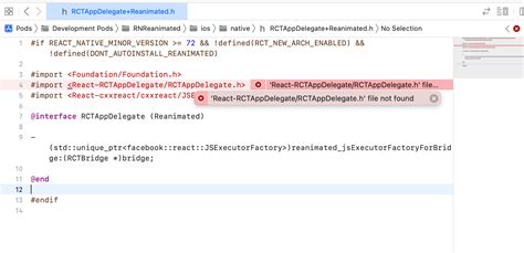 RCTAppDelegate H File Not Found Issue 4553 Software Mansion React