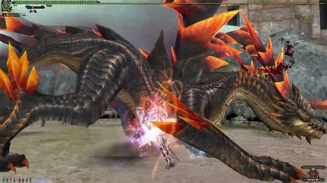 MHFZ Monster Hunter Frontier Z 3 Zenith Rukodiora Solo Magnet