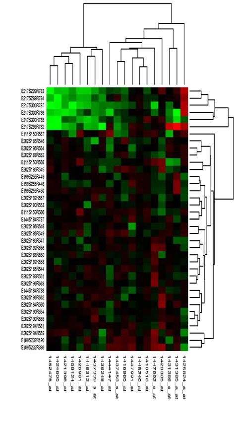 Cluster Heat Map From Andrade Based On Eisen Et Al The