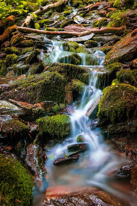 Air Terjun Sungai Kecil Hutan Foto Gratis Di Pixabay Pixabay