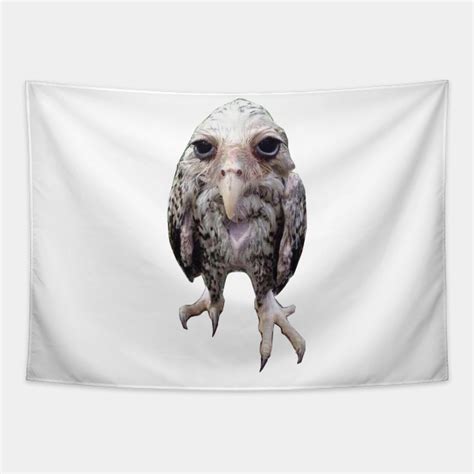 Wet Owl Wet Owl Tapestry Teepublic