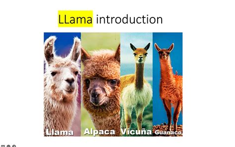 本地部署chatgpt 大语言模型 Alpaca Llama Llama Cpp Alpaca Lora Chatglm Belle