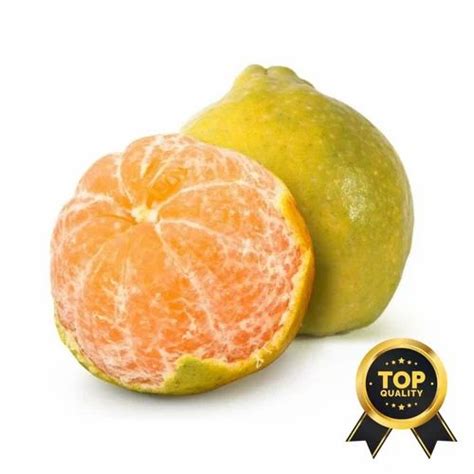 A Grade Maharashtra Fresh Orange Fruit Packaging Type Loose At Rs