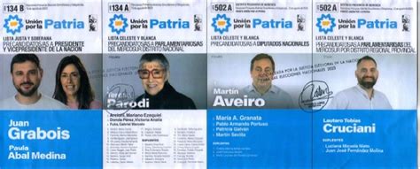 PASO 2023 Estas Son Las Boletas Oficializadas Para Las Elecciones