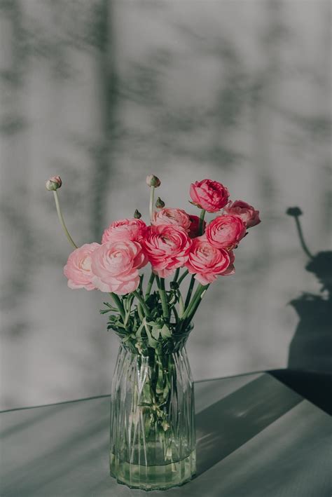 Roos Bloemen Vaas Roze Gratis Foto Op Pixabay Pixabay