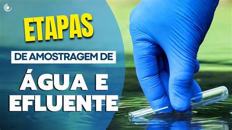 Entenda as etapas de amostragem coleta conservação e processamento de