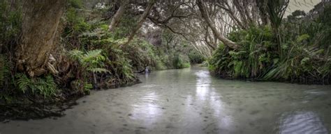 Sunrise Eli Creek K Gari FRASER ISLAND The Landscape Awards