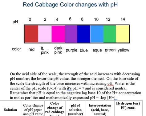 Solved Red Cabbage Color Changes With PH On The Acid Side Of Chegg