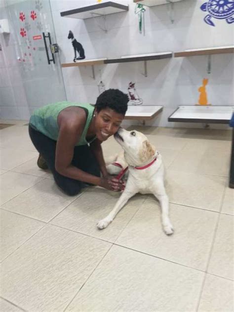 Onde Colocar Citologia para Animais Domésticos Cabo Frio Citologia