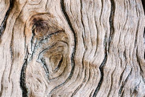 Tekstura Starego Drewna W Przyrodzie Czyli Erozja Wodna Zdjęcie Premium