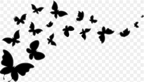 Butterfly Vector Graphics Clip Art Image Png X Px Butterfly