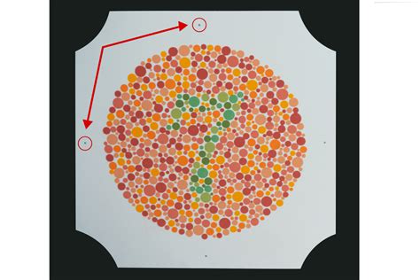 Ishihara Plate Color Vision Test
