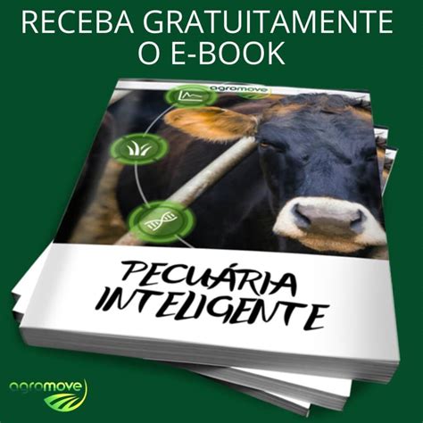Gado De Corte Tudo Que O Produtor Precisa Saber Agromove