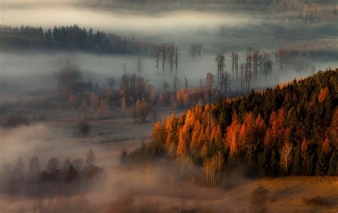 1124925 Sunlight Trees Landscape Forest Fall Sunset Nature Sky