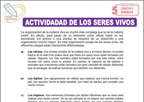 Actividades De Los Seres Vivos Para Quinto De Primaria