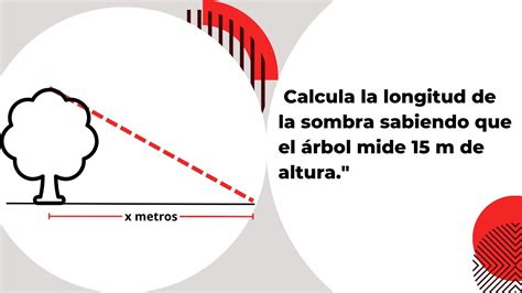 Calcula la longitud de la sombra sabiendo que el árbol mide 15 m de