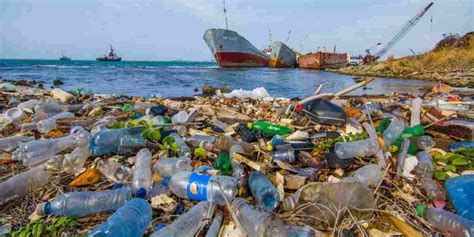 Plastica In Mare Lo Studio Di Goletta Verde Rifiuti Ogni Metri