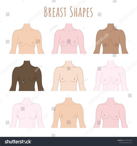 3 120 Types breasts 이미지 스톡 사진 및 벡터 Shutterstock