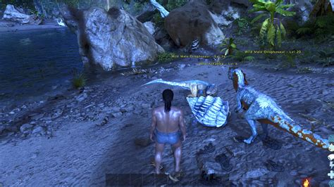 Ark Survival Ascended Polymer Farming Locations And Guide GameSpot