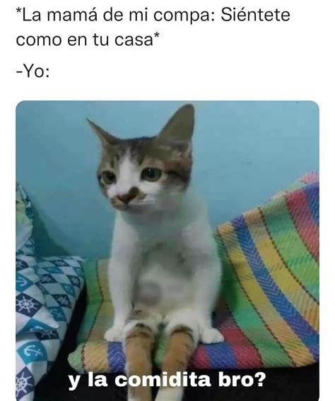 La Mam De Mi Compa Si Ntete Como En Tu Casa Yo Y La Comidita Bro