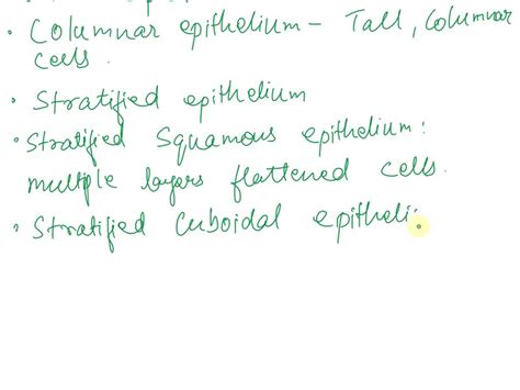 Solved Using No More Than Propositions Create A Concept Map To