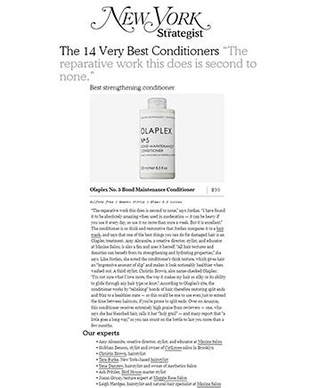 New York Magazine January 5 2023 Maxine Salon Top Chicago Salon