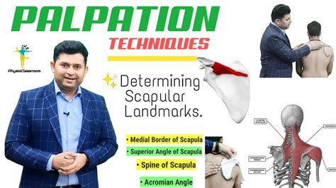 SCAPULA PALPATION MADE EASY MEDIAL BORDER SUPERIOR ANGLE SPINE OF