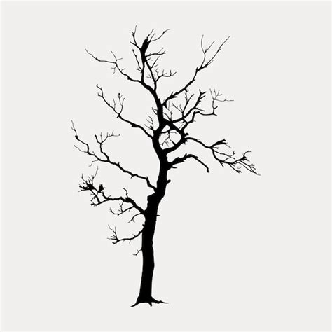 Arte Vectorial De Silueta De Rbol Desnudo Vector Premium Generado Con Ia