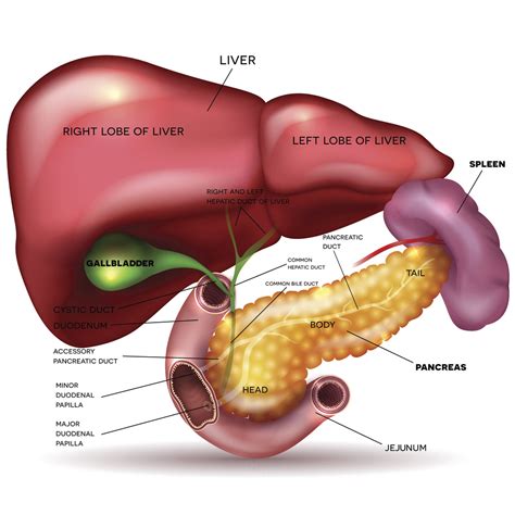 Pancreatic Cancer Symptoms In Men