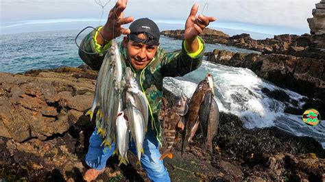 Pescando peces del Mar vídeos de Pesca en 4k YouTube