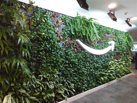 Amazon 1 Trópico Vivo