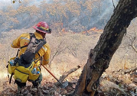 Miles de hectáreas siniestradas por incendios forestales en México