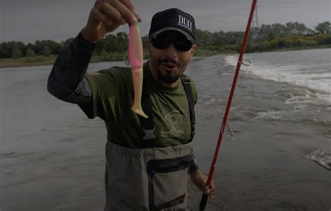 Vidéo pêche du silure au leurre souple depuis le bord Ultimate Fishing