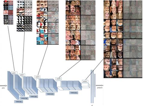 illustration of the hierarchical concepts learned by a deep learning download scientific