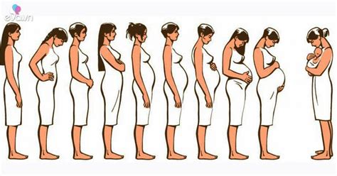 Cơ thể thay đổi khi mang thai như thế nào với bà bầu qua từng tháng của