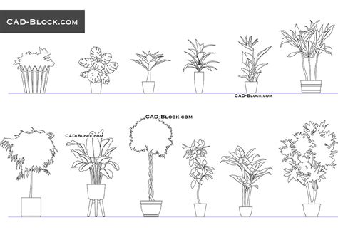 Plants And Flowers Elevation Dwg Elevation For Autocad