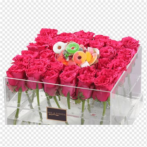 Rosas de jardim Design floral Flores cortadas Buquê de flores flores