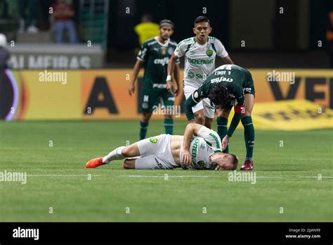 São Paulo SP 07 18 2022 Football Palmeiras x Cuiabá Gustavo