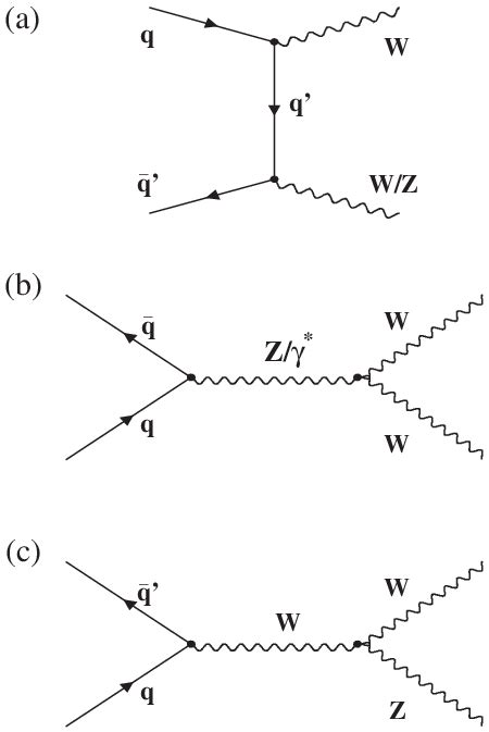 Tree Level Feynman Diagrams For The Processes Of WW WZ Production At