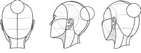 The Ultimate Guide To Drawing The Turned Head Loomis Method Step By