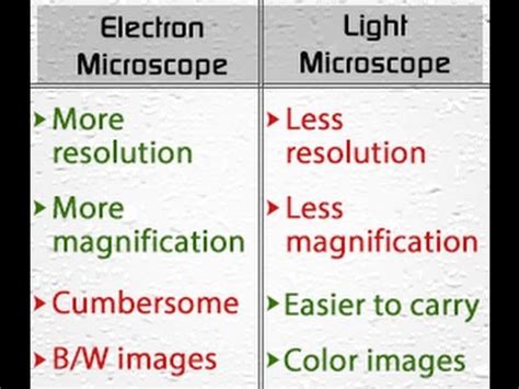 Light Microscope Vs Electron Microscope Youtube
