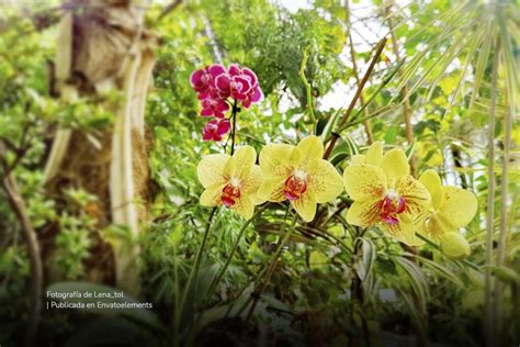 Biodiversidad colombiana en estas categorías logra ganar podio