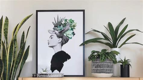 Feng Shui Plantas Que NO Debes Tener En Tu Casa Glamour